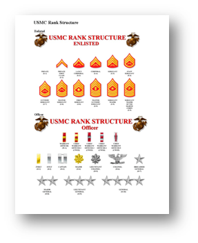Usmc Rank Structure Chart